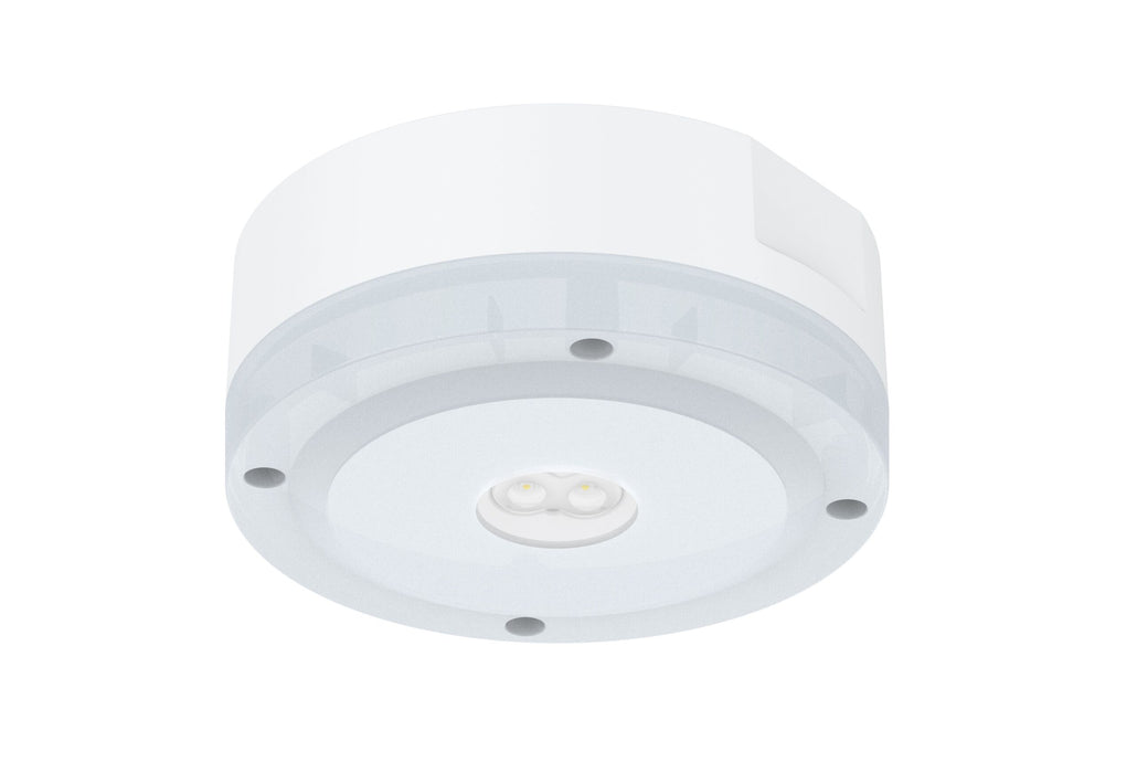 Pureled IP Rated Surface Mount Emergency Light D63 6W Non Maintained I ...