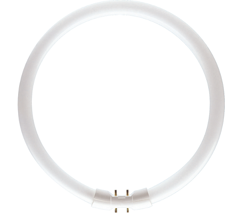 Philips 927965084013 Fluorescent Tube Circular 22W 840 4000K Master TL ...