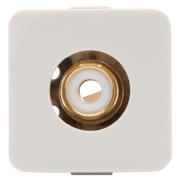Pdl RCA white audio socket White — Scott Electrical