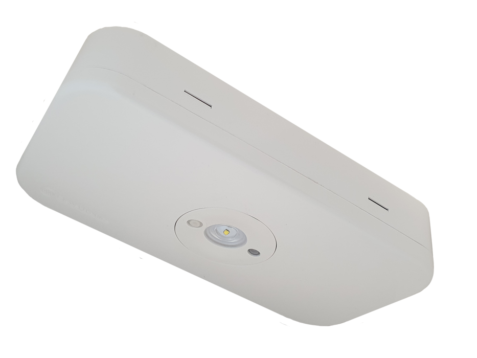 Clevertronics LP Surface Mount Weatherproof Lifelight, Clevertest Plus ...