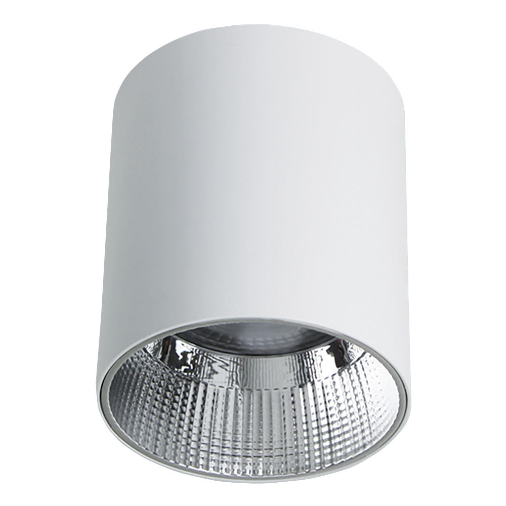 PROLUX LIGHT SURFACE MOUNT 25W CYLINDRICAL WHITE 4K 120DIAX148 — Scott ...