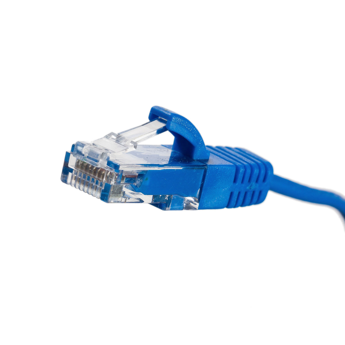 Cabac PATCH LEAD CAT6 BLUE 1M — Scott Electrical