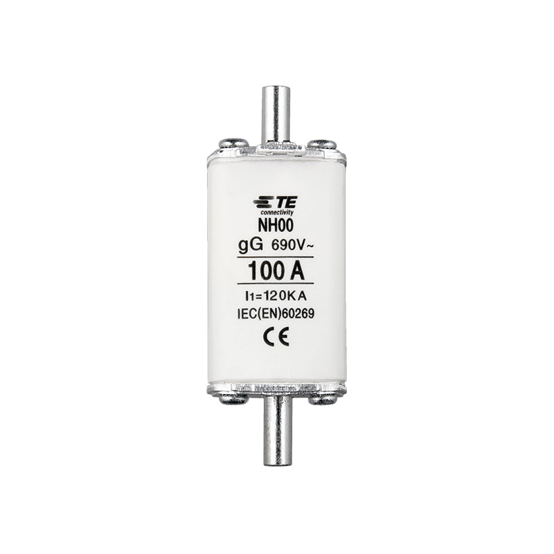 Te Energy DIN SIZE 00/000 (NH00/000) 100A HRC FUSE — Scott Electrical